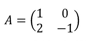 Can You Square A Matrix? (3 Things To Know) – JDM Educational