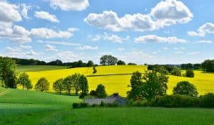 Where Is Standard Deviation Used? (8 Real Life Examples) – JDM Educational