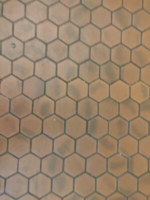 Hexagons In Real Life (Use Of Hexagons In Nature & Math) – JDM Educational