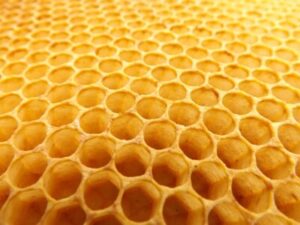 Hexagons In Real Life (Use Of Hexagons In Nature & Math) – JDM Educational